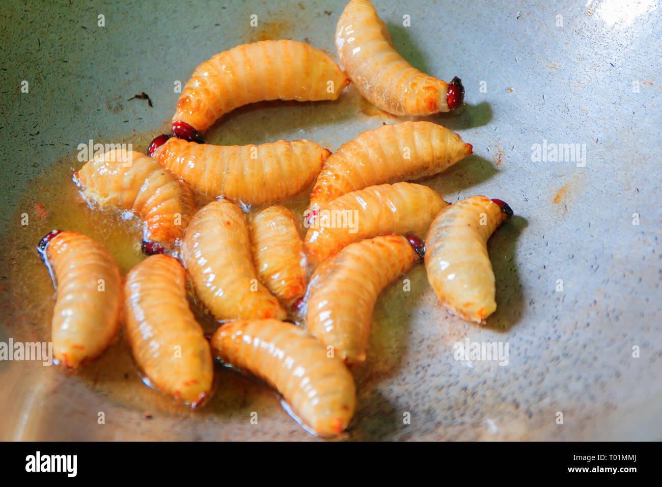 Charançon du palmier à vis sans fin ou rouge du sagou frit dans la ...
