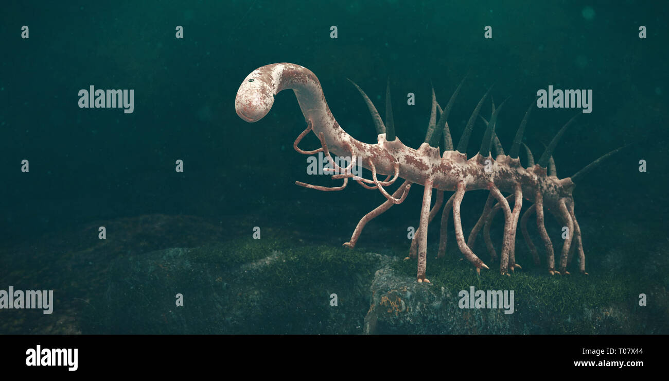 Explosion cambrienne (faune marine) Banque de photographies et d’images ...