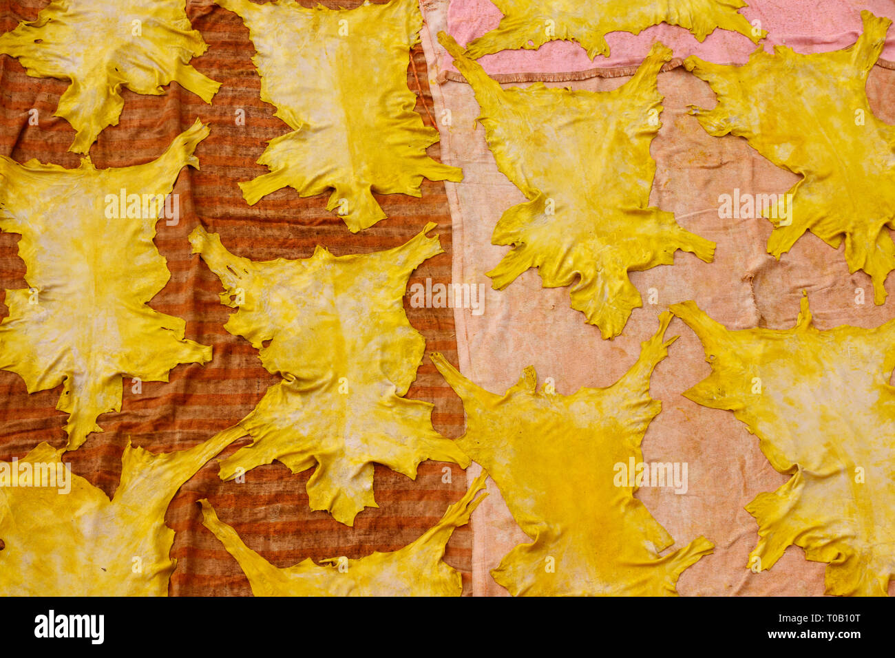 Chouara tannerie cuir teint jaune Banque de photographies et d’images à ...