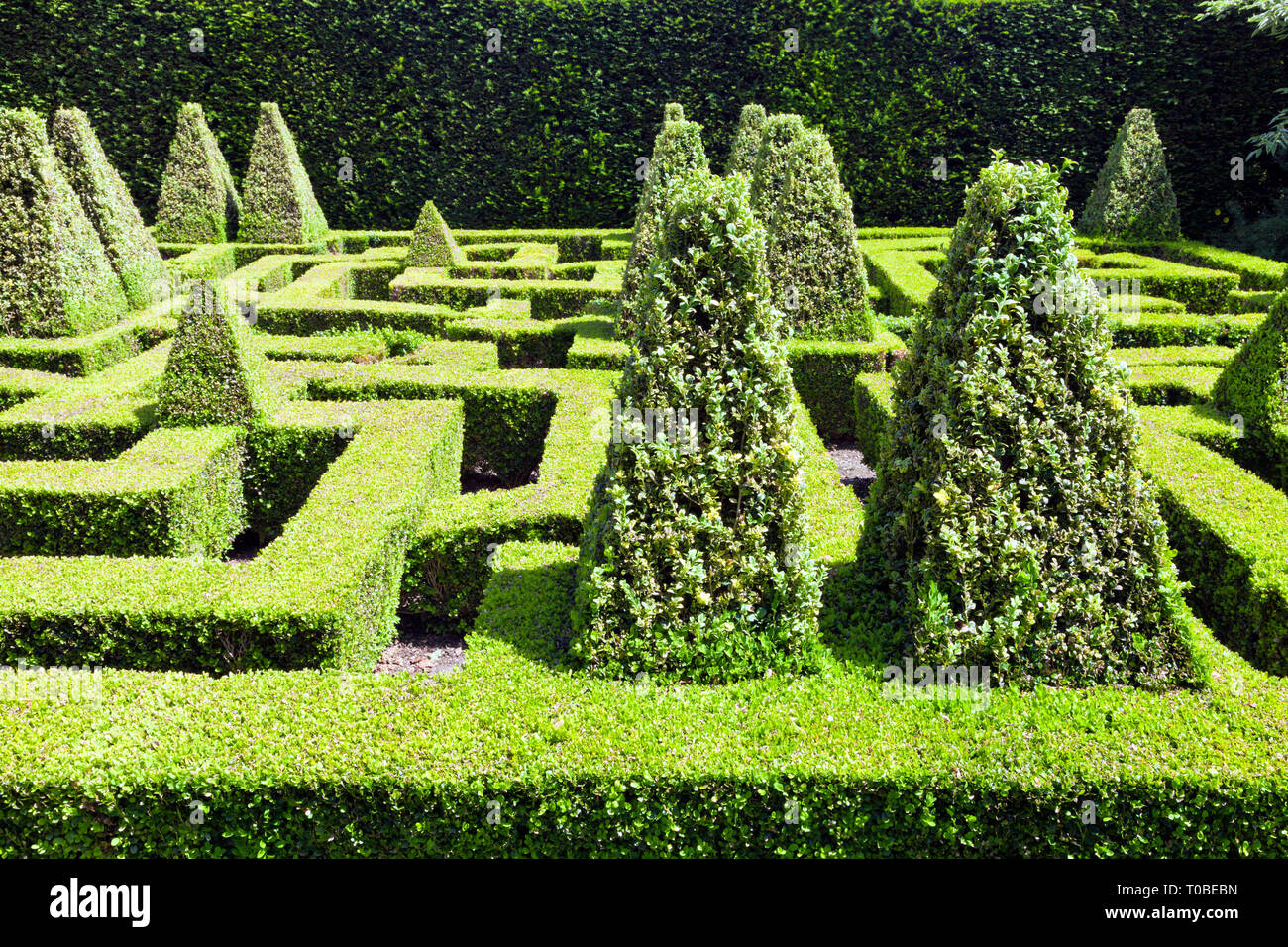 Chemin de labyrinthe de haies Banque de photographies et d’images à ...