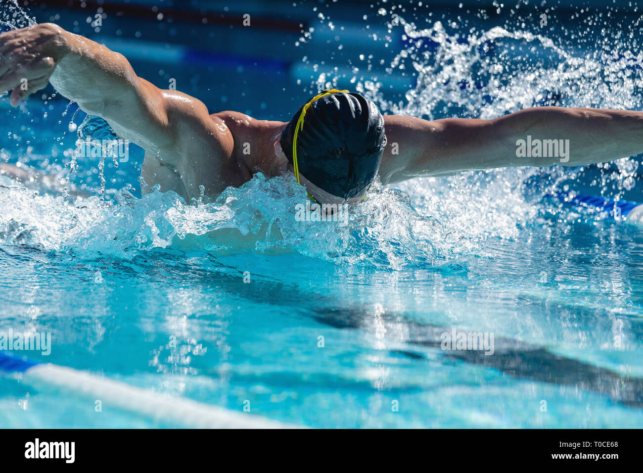 Nage papillon Banque de photographies et d’images à haute résolution ...