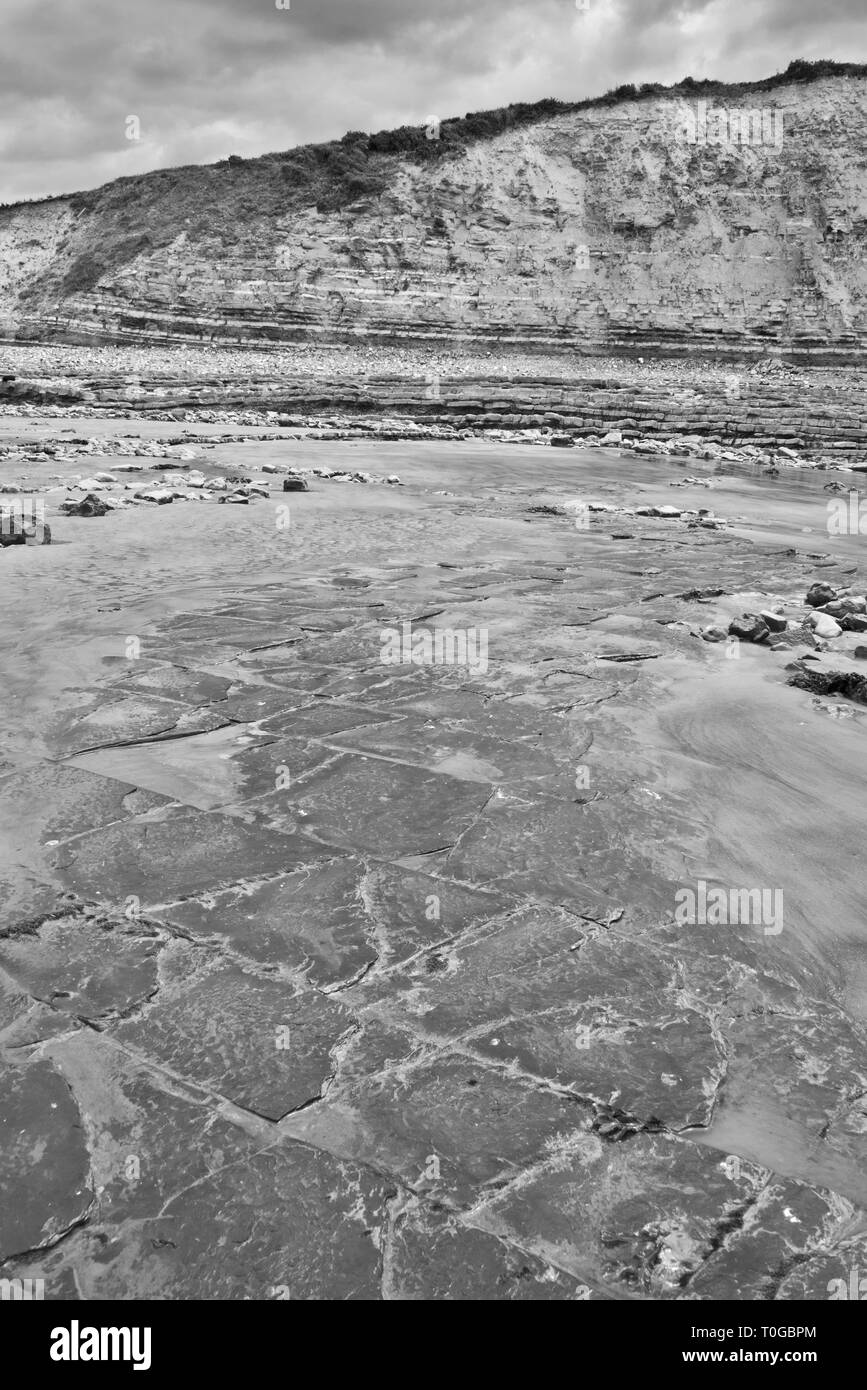 Plage fossile somerset Banque d'images noir et blanc - Alamy