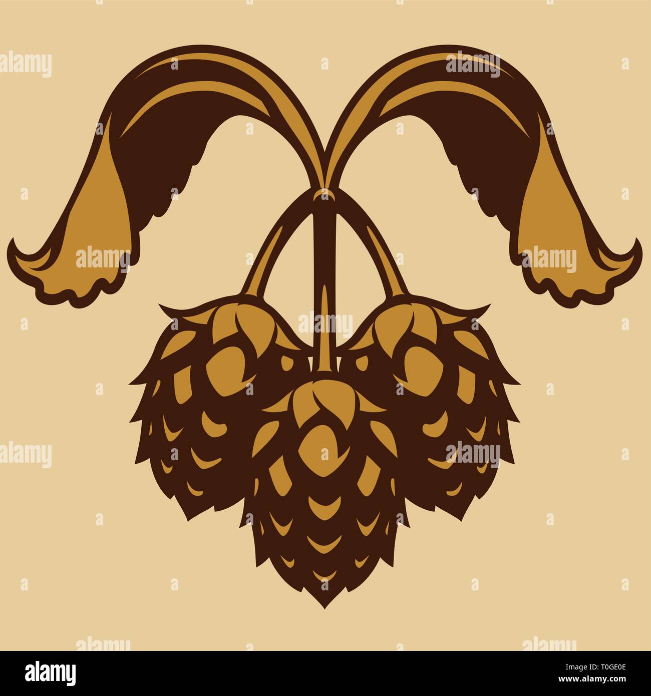 Le houblon vector icône graphique visuel ou logo pour la bière Image ...