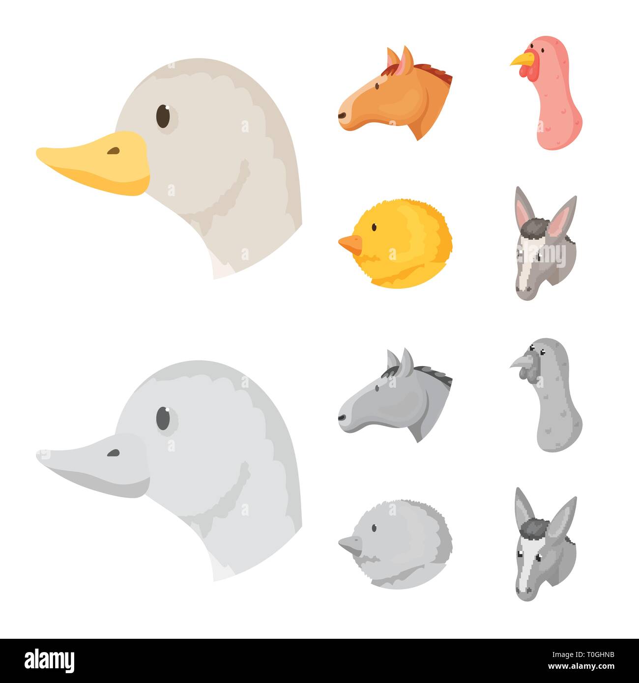 ,Vache,âne,lapin,face,oie,animal,génisse animal, fromage, lait,oiseaux ...