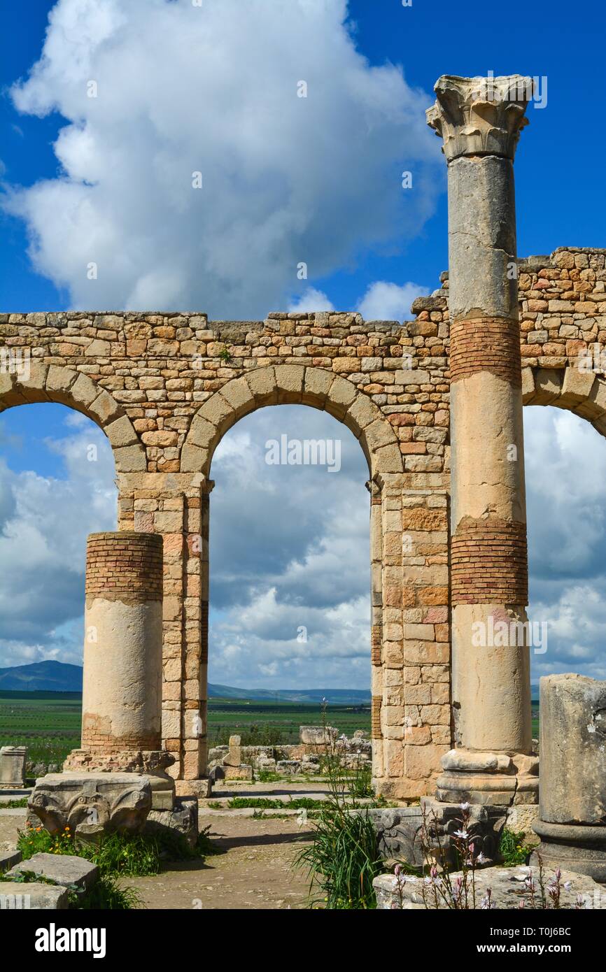 Archaeological site volubilis walili Banque de photographies et d ...