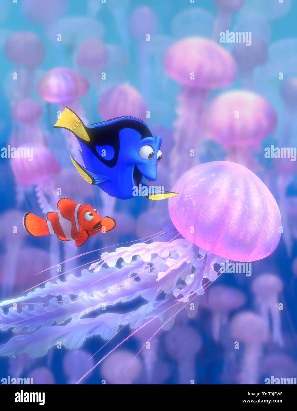 Finding Nemo Banque d'image et photos - Page 3 - Alamy