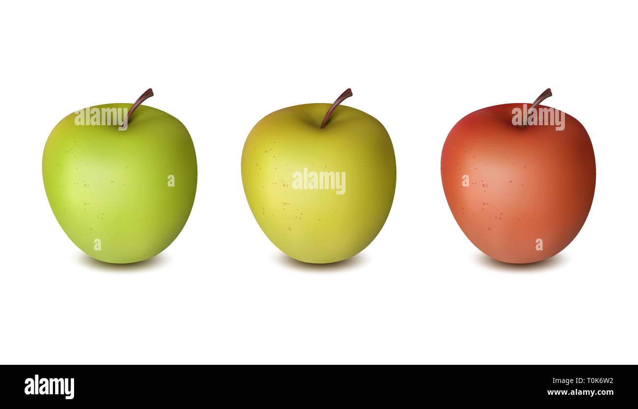 Pommes avec rouge jaune et vert Banque d'images vectorielles - Alamy