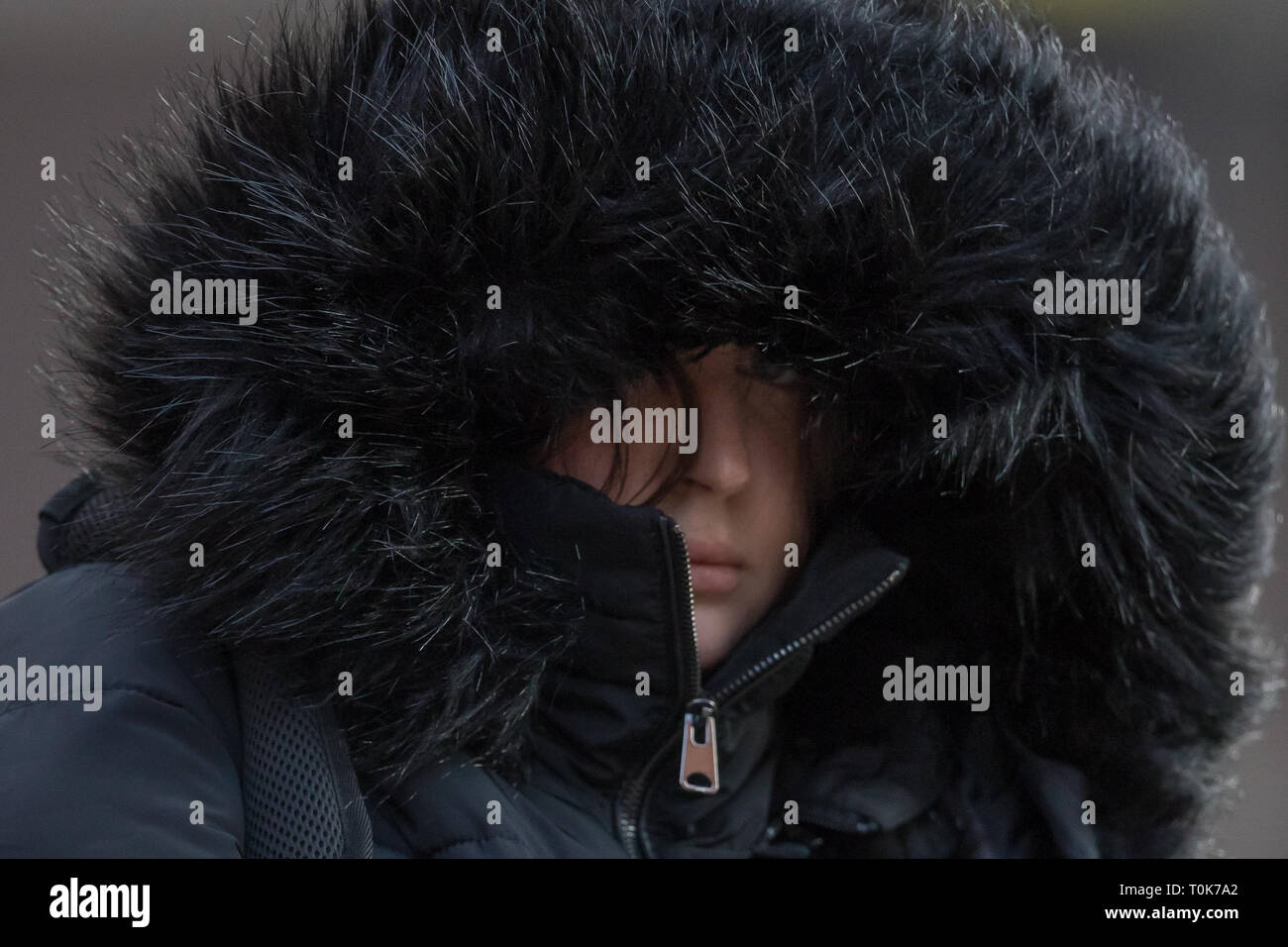 Neo nazi group Banque de photographies et d’images à haute résolution ...