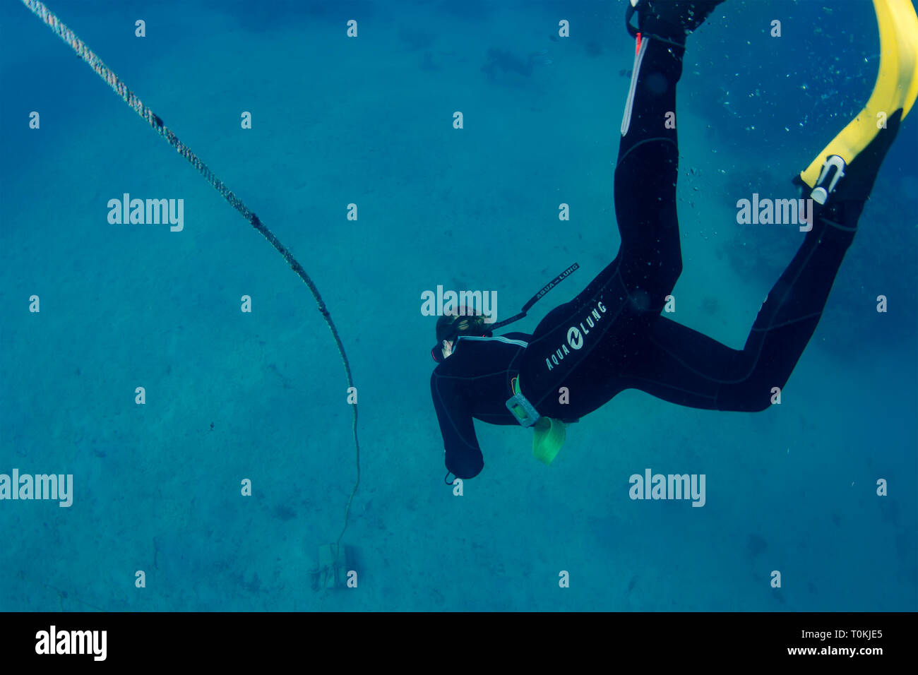 Apnéiste femme Banque de photographies et d’images à haute résolution ...