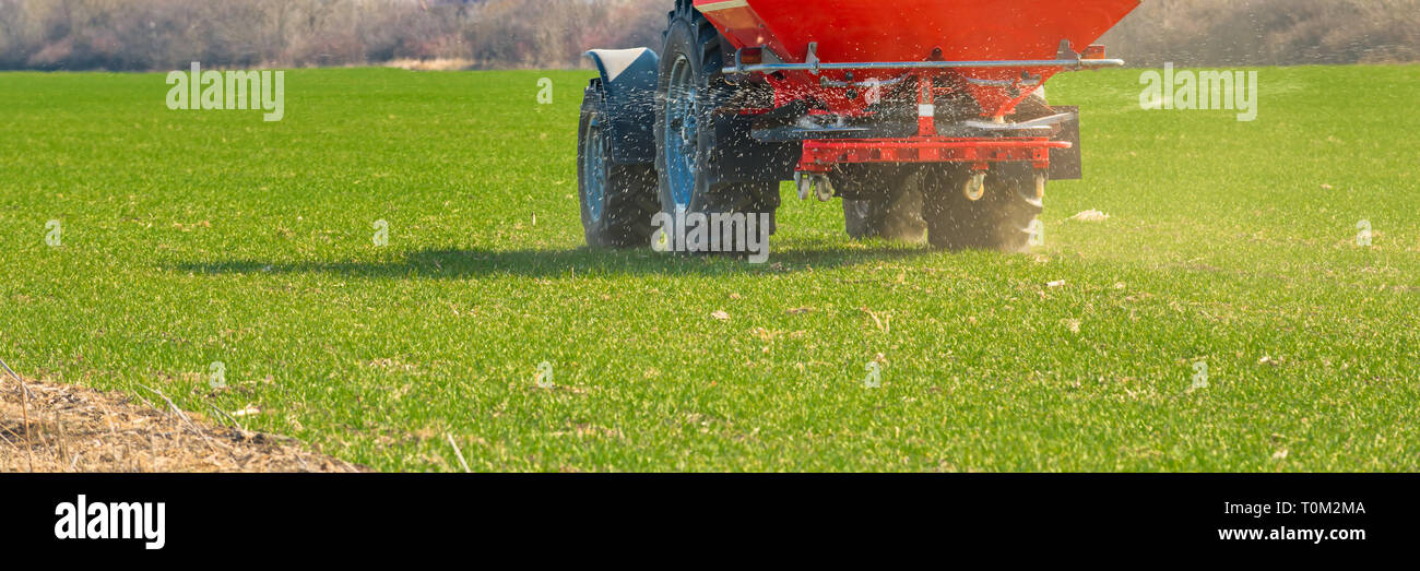 Méconnaissable agriculteur de tracteur agricole, fertilisation des ...
