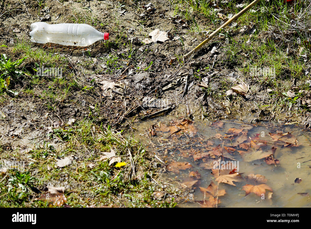 Civic responsibility Banque de photographies et d’images à haute ...