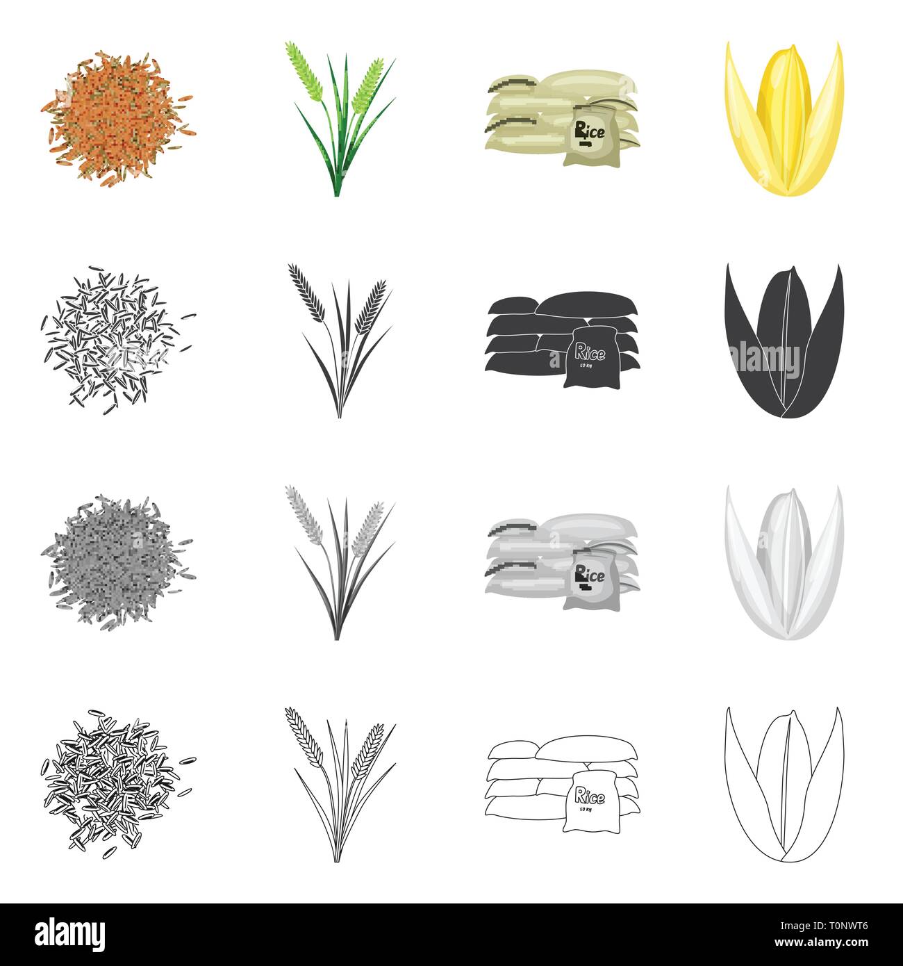 Riz à grain,Non,feuilles,,blanc,jardin,graines,gros,céréales,ferme ...