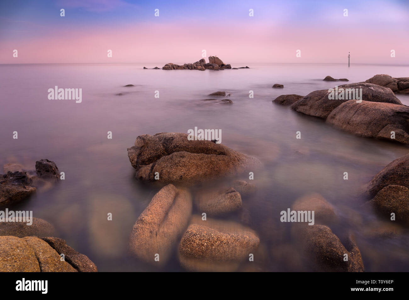 Celtic grove Banque de photographies et d’images à haute résolution - Alamy