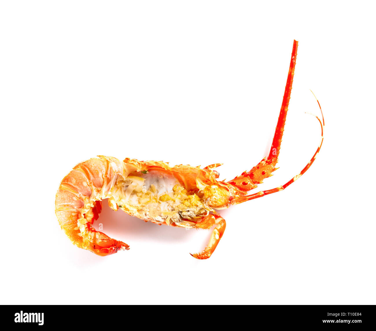Viande de homard Banque d'images détourées - Alamy