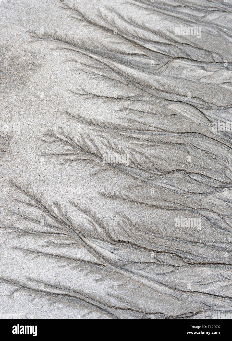 Écoulements de sable liquide sédimentaire/, l'eau de type Mars stries ...