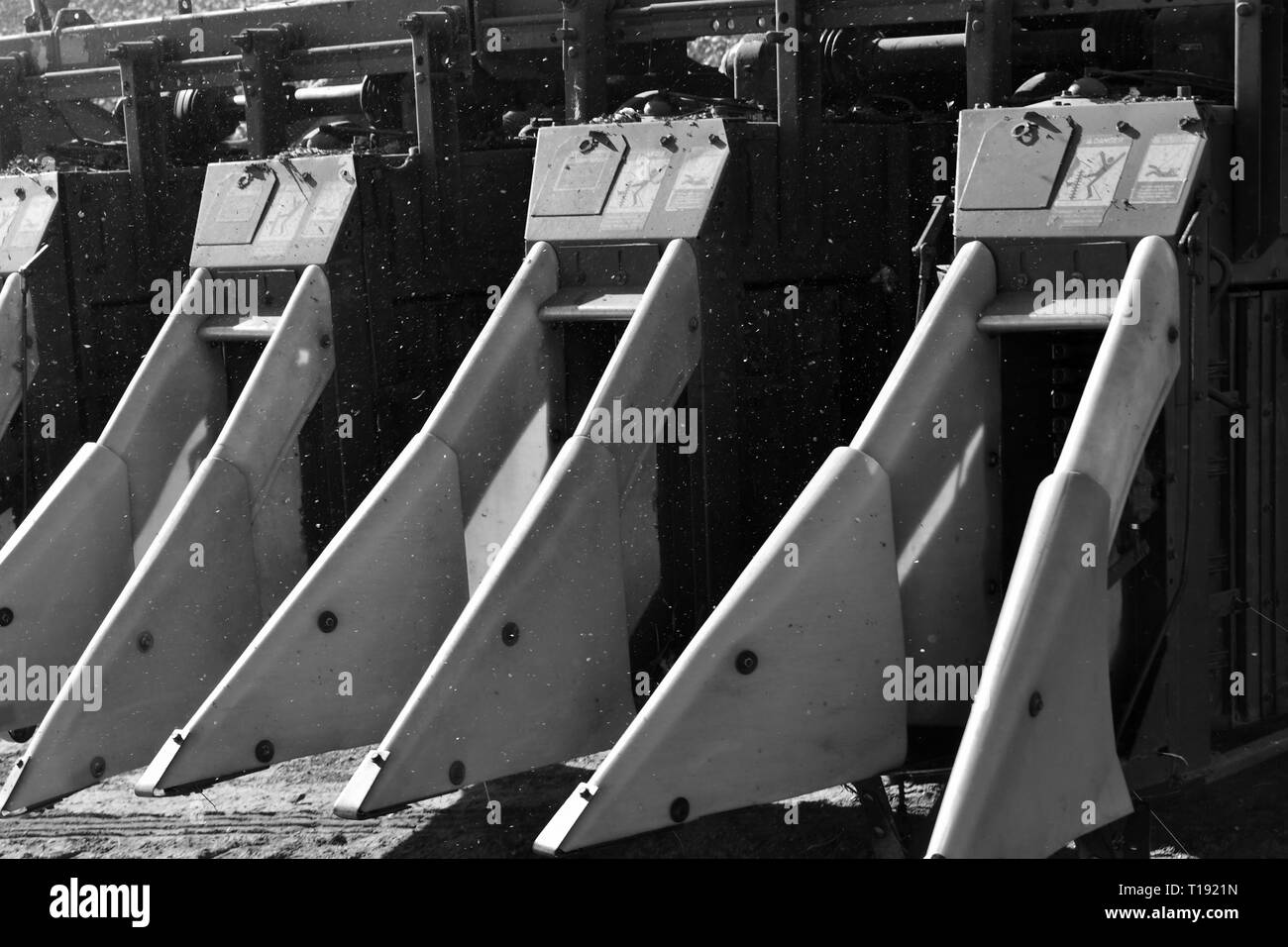 Ramasseur de coton Banque de photographies et d’images à haute ...