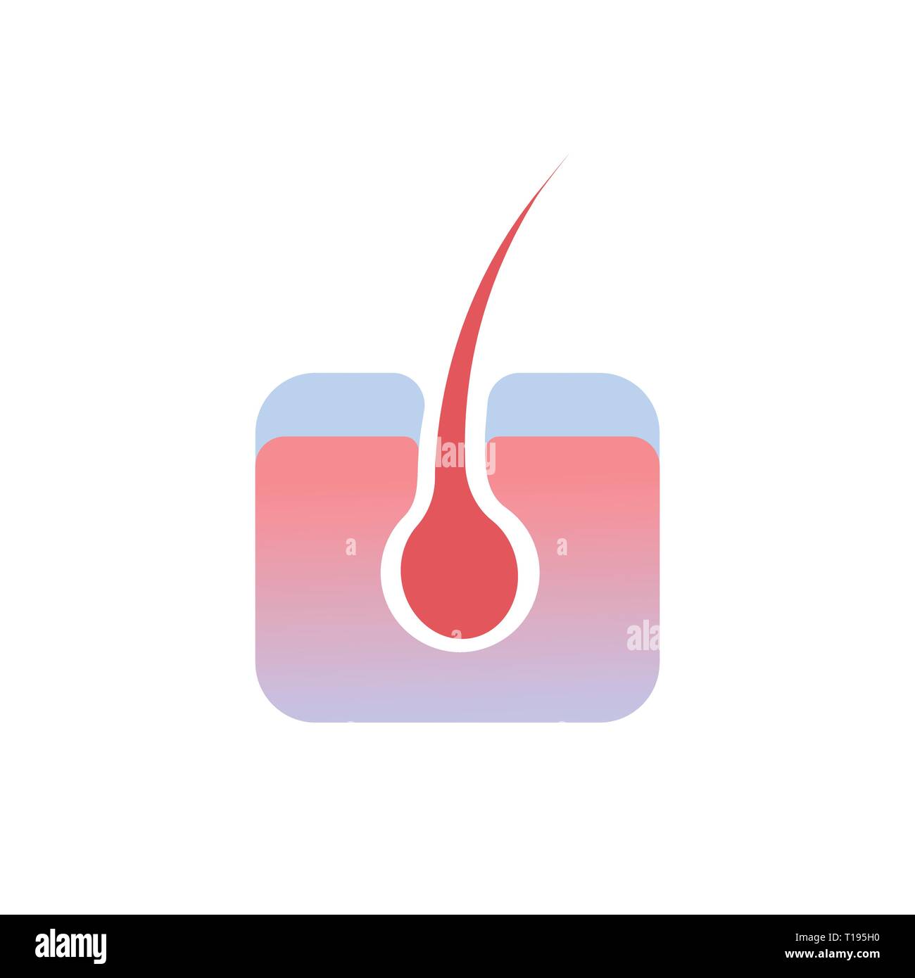 L'organe humain de follicule de cheveux soins concept médical anatomie ...