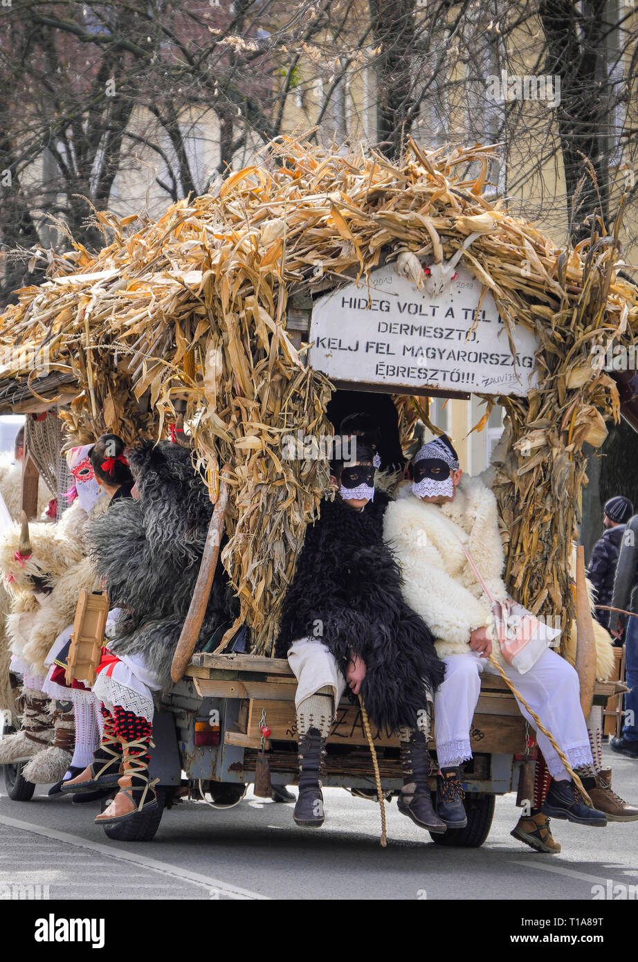 Fullmetal, une célébration annuelle de l'Šokci vivant dans la ville de ...