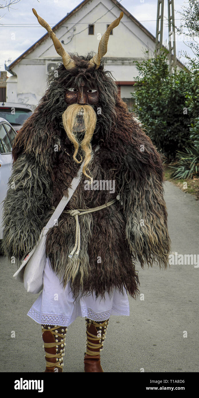 Fullmetal, une célébration annuelle de l'Šokci vivant dans la ville de ...