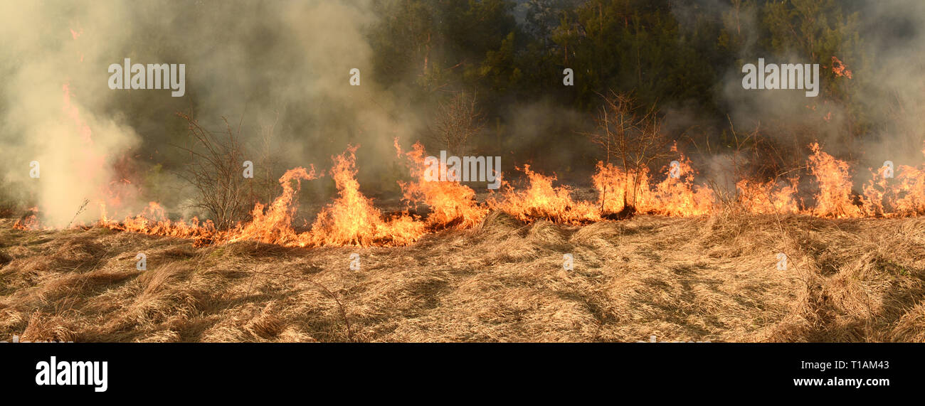 Feux de forêt en espagne Banque de photographies et d’images à haute ...