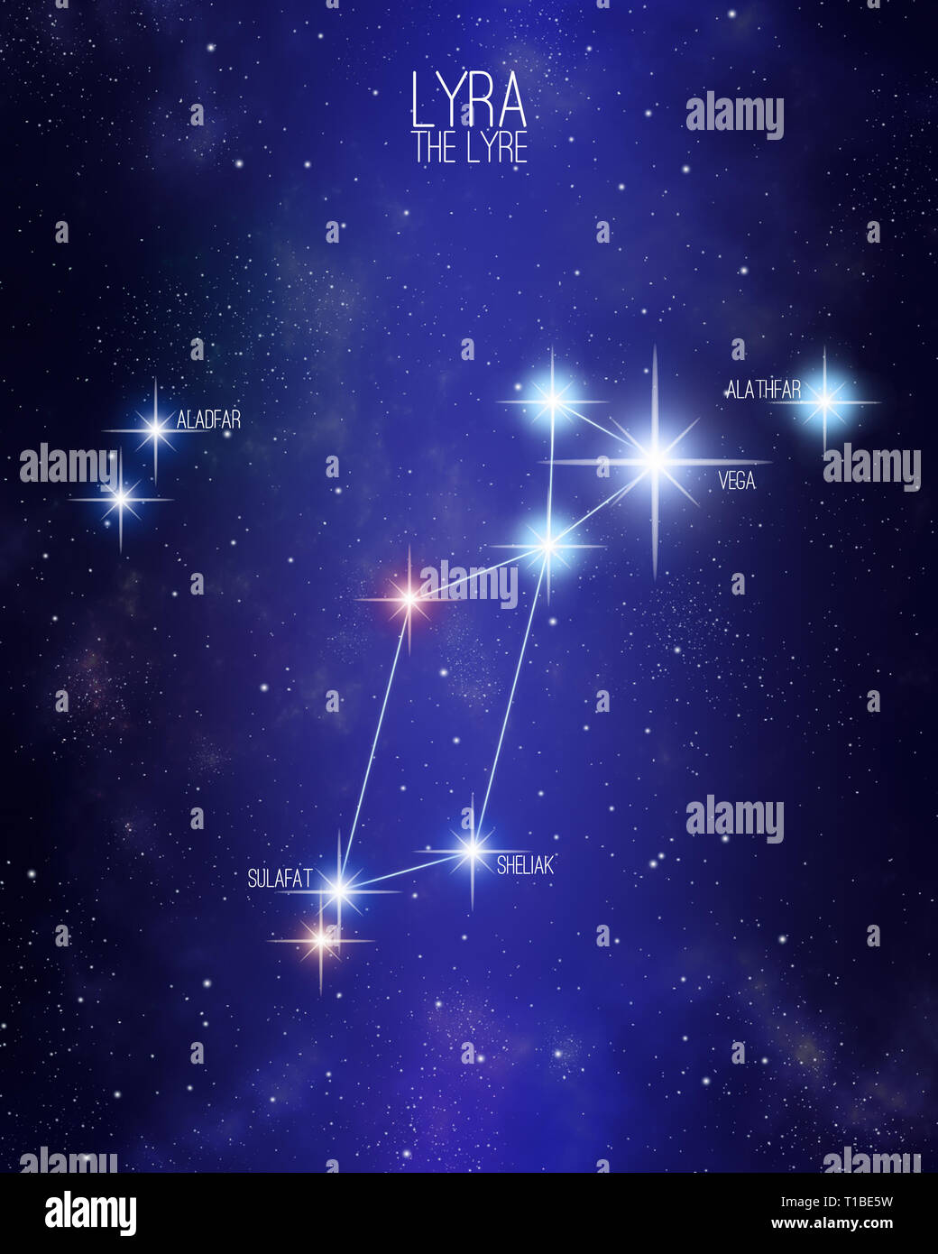 Lyre de champ Banque de photographies et d’images à haute résolution ...