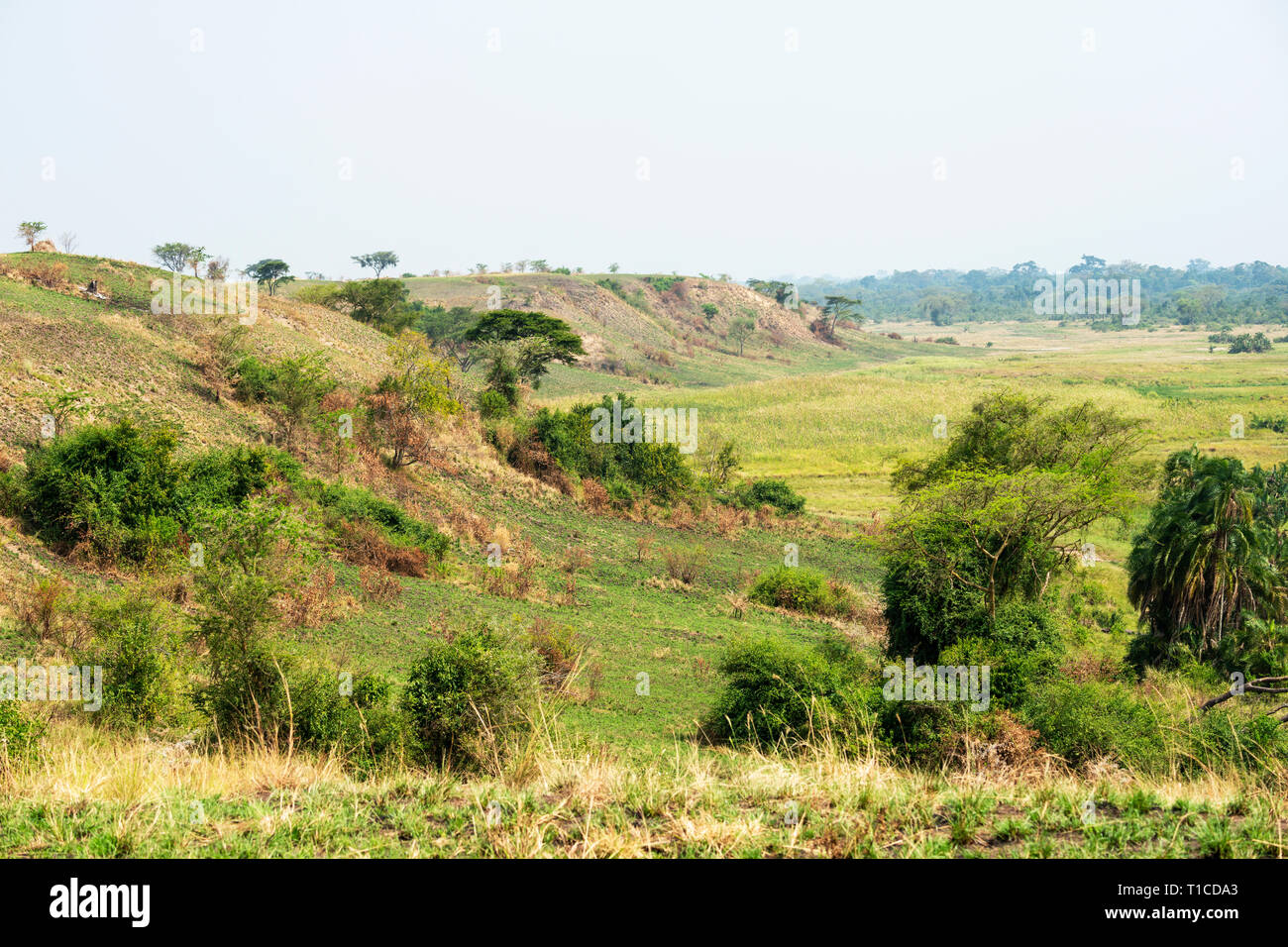 Paysage Local Banque d'image et photos - Alamy