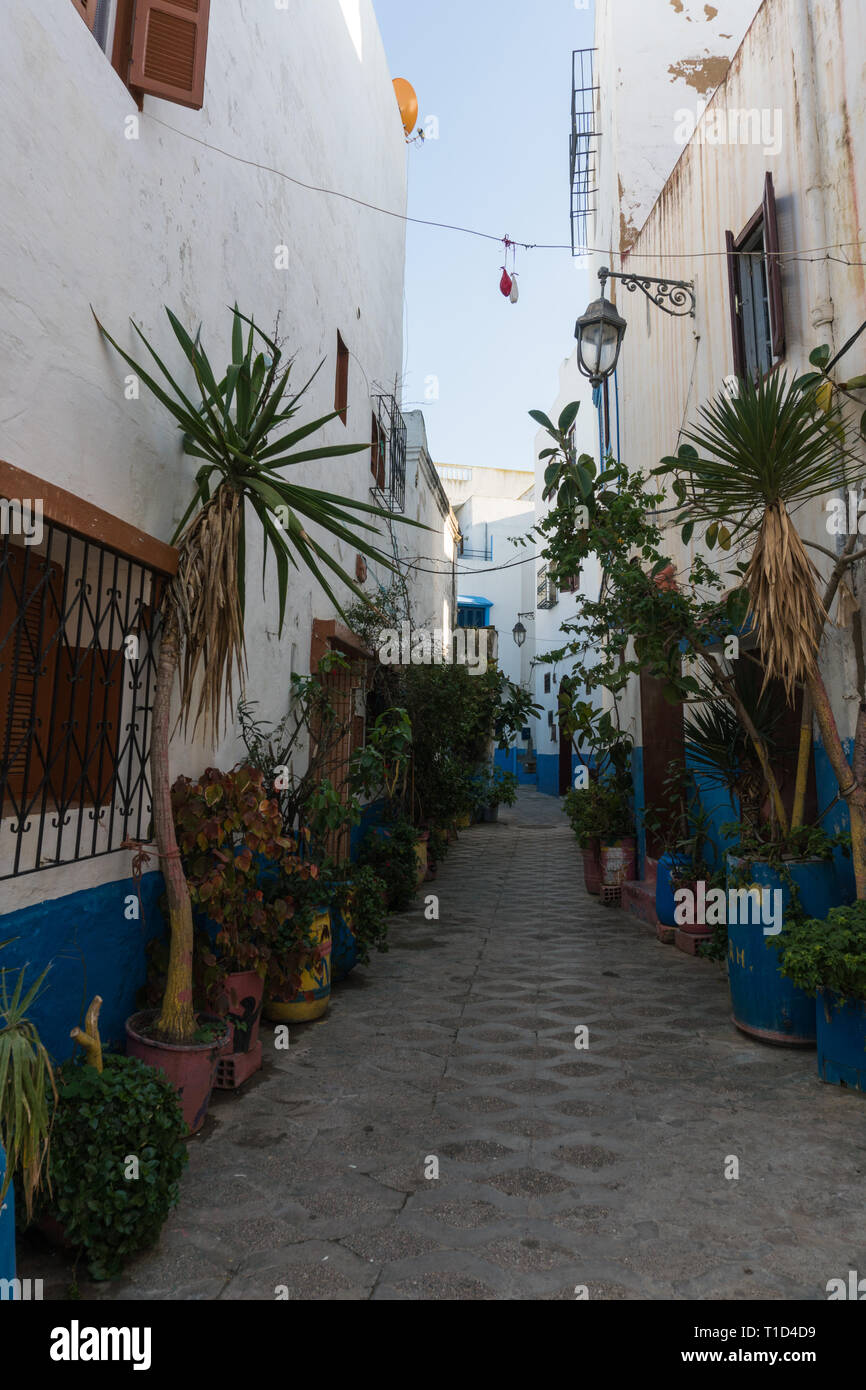 Morocco asilah woman Banque de photographies et d’images à haute ...