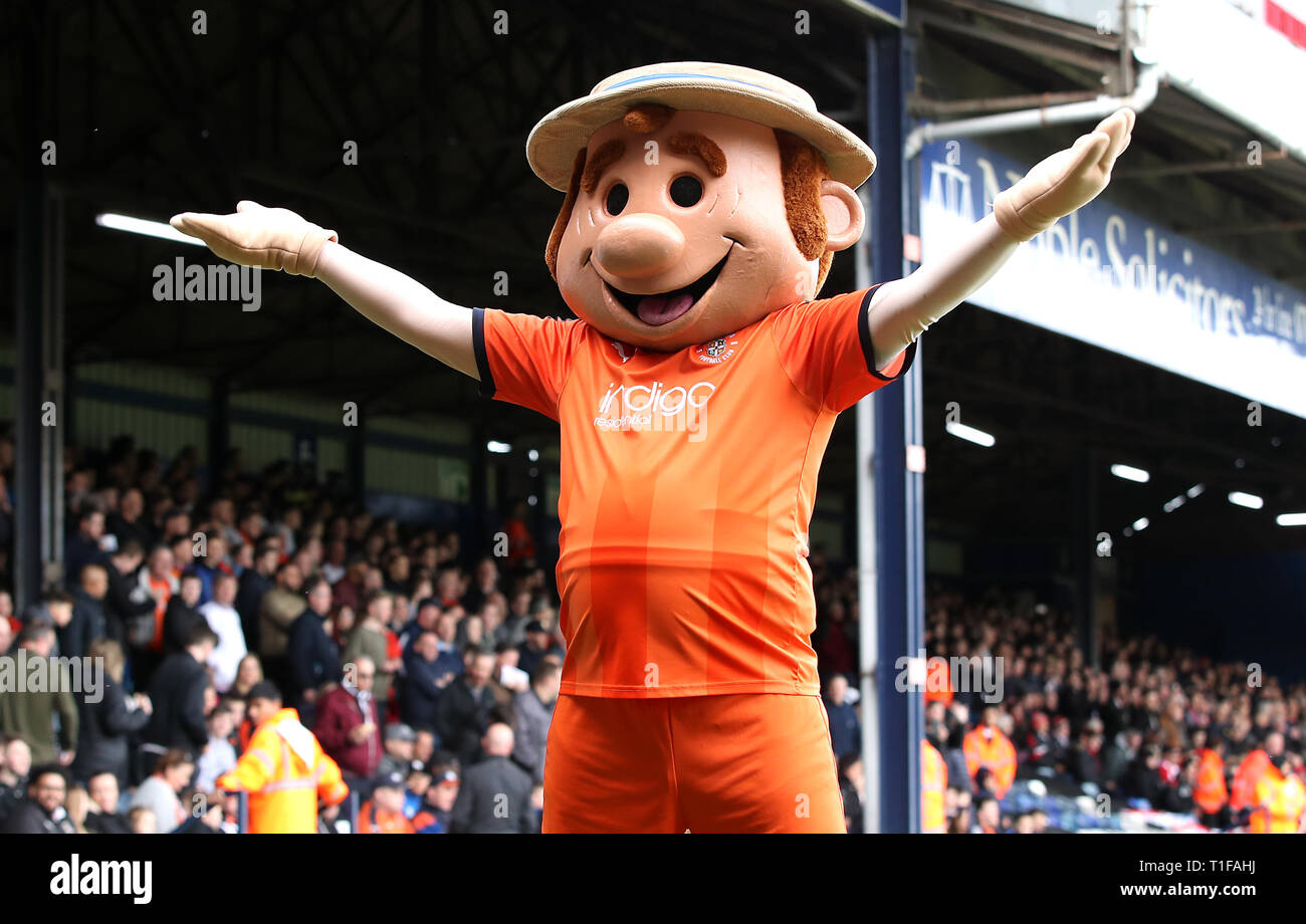 Luton Town mascot 'Happy Harry' Photo Stock - Alamy