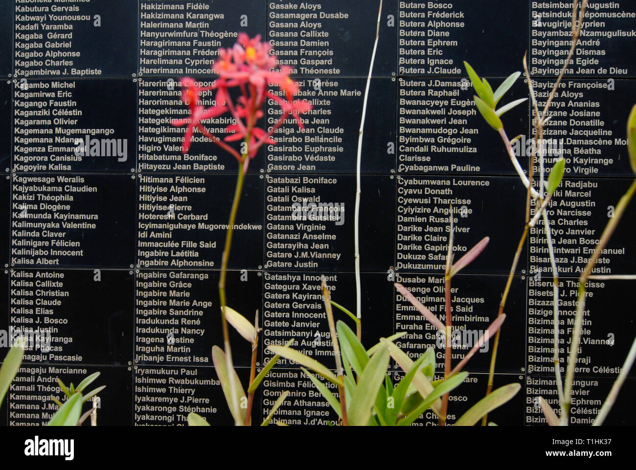 RWANDA Kigali, mémorial du Génocide, pendant le génocide en avril 1994 ...