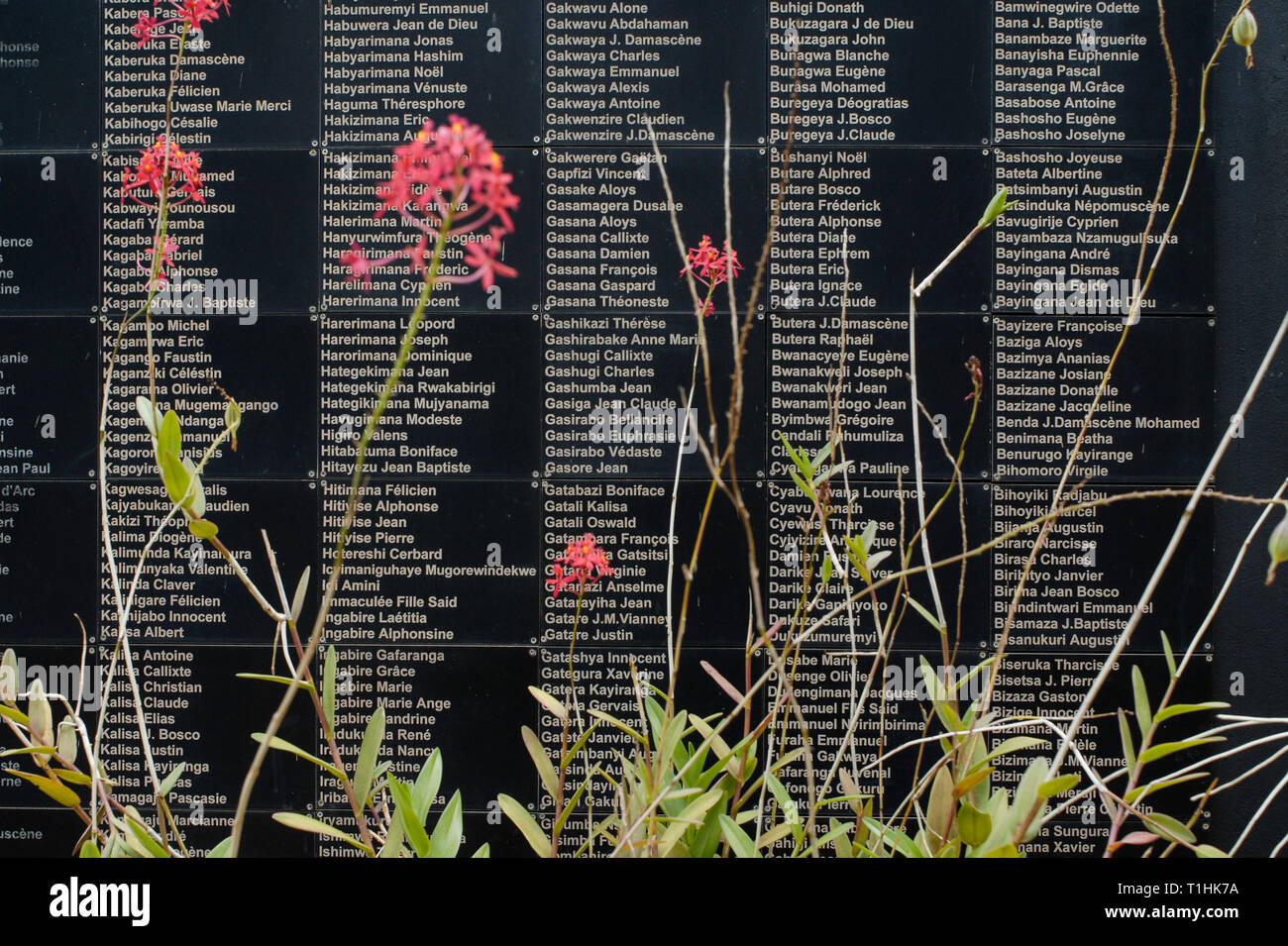 RWANDA Kigali, mémorial du Génocide, pendant le génocide en avril 1994 ...
