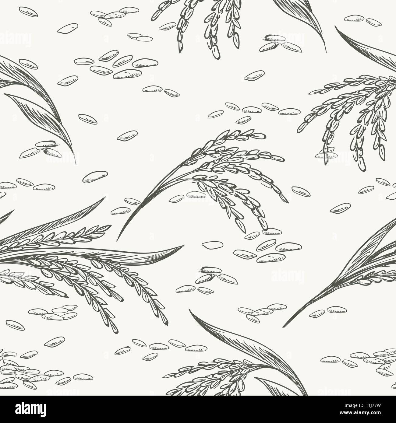 Dessin de riz. Seamless texture graphique de riz, céréales et grains ...