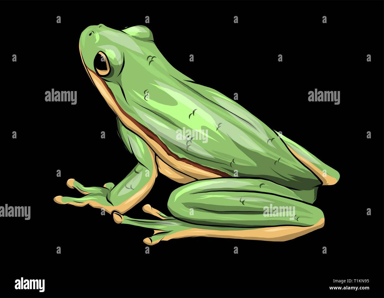 Illustration Un Dessin Animé Grenouille Verte Dessin Vectoriel Image Vectorielle Stock Alamy