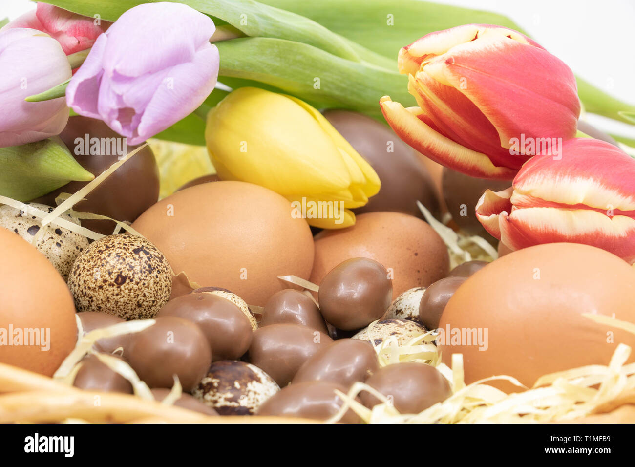 Arrivée du printemps Banque de photographies et d’images à haute ...