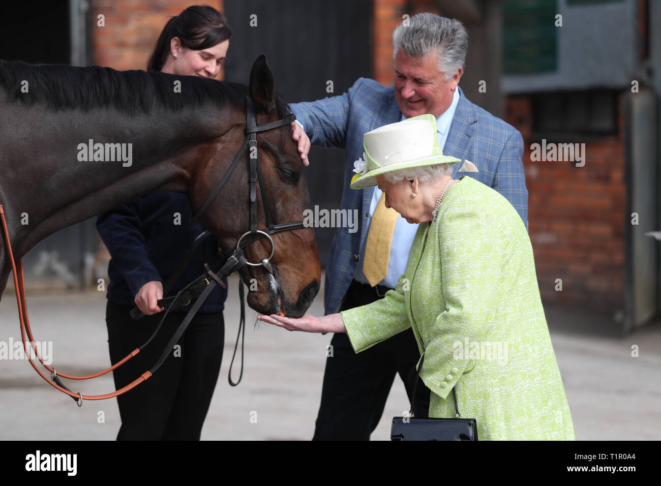 Ajout de nom cheval reine elizabeth ii Banque de photographies et d ...