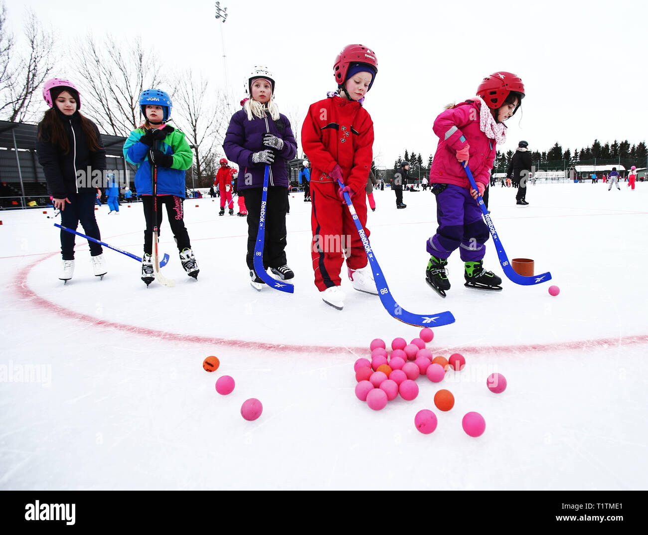 Bandy bandy Banque de photographies et d’images à haute résolution - Alamy