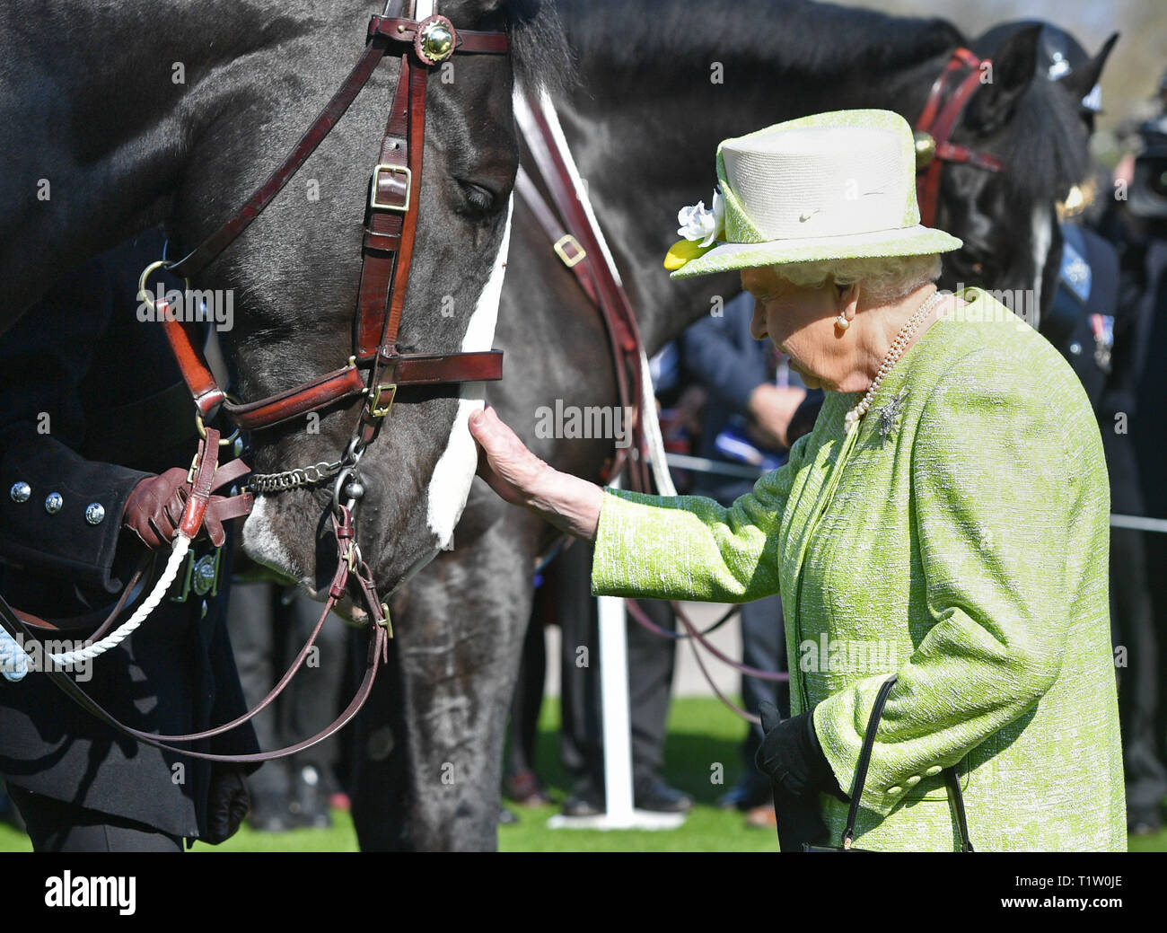 Retransmission correting nom cheval reine elizabeth ii coups Banque de ...