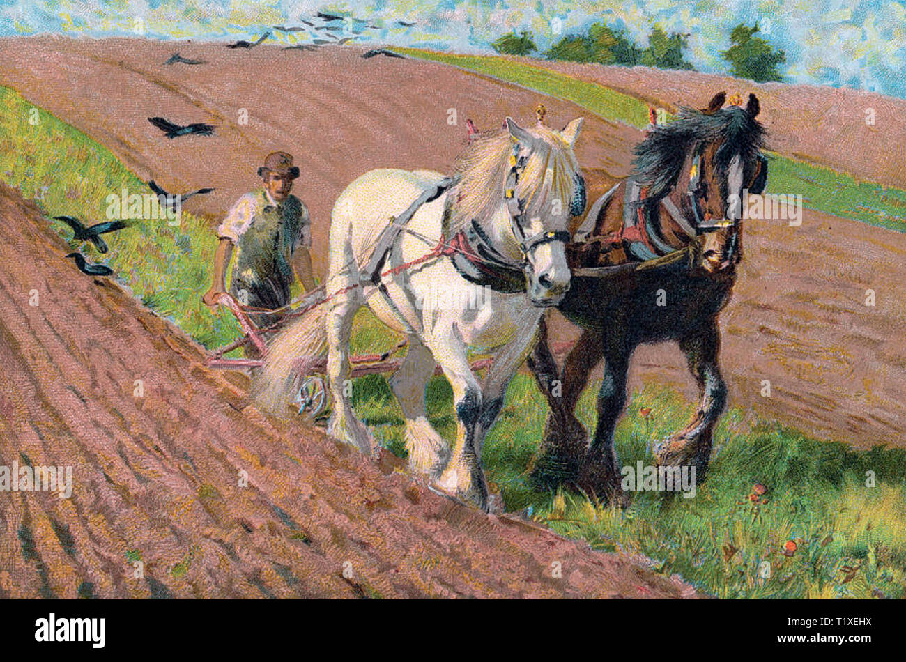 Horse Plough Banque d'image et photos - Alamy