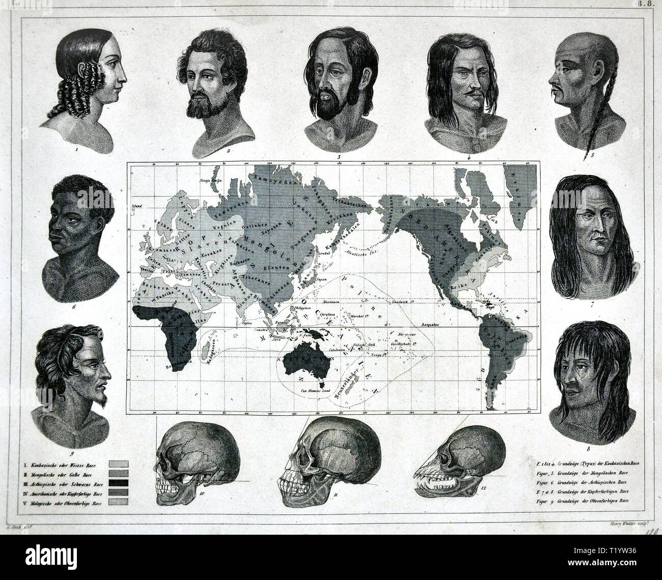 1849 La carte et le graphique montrant les différentes races ethniques ...