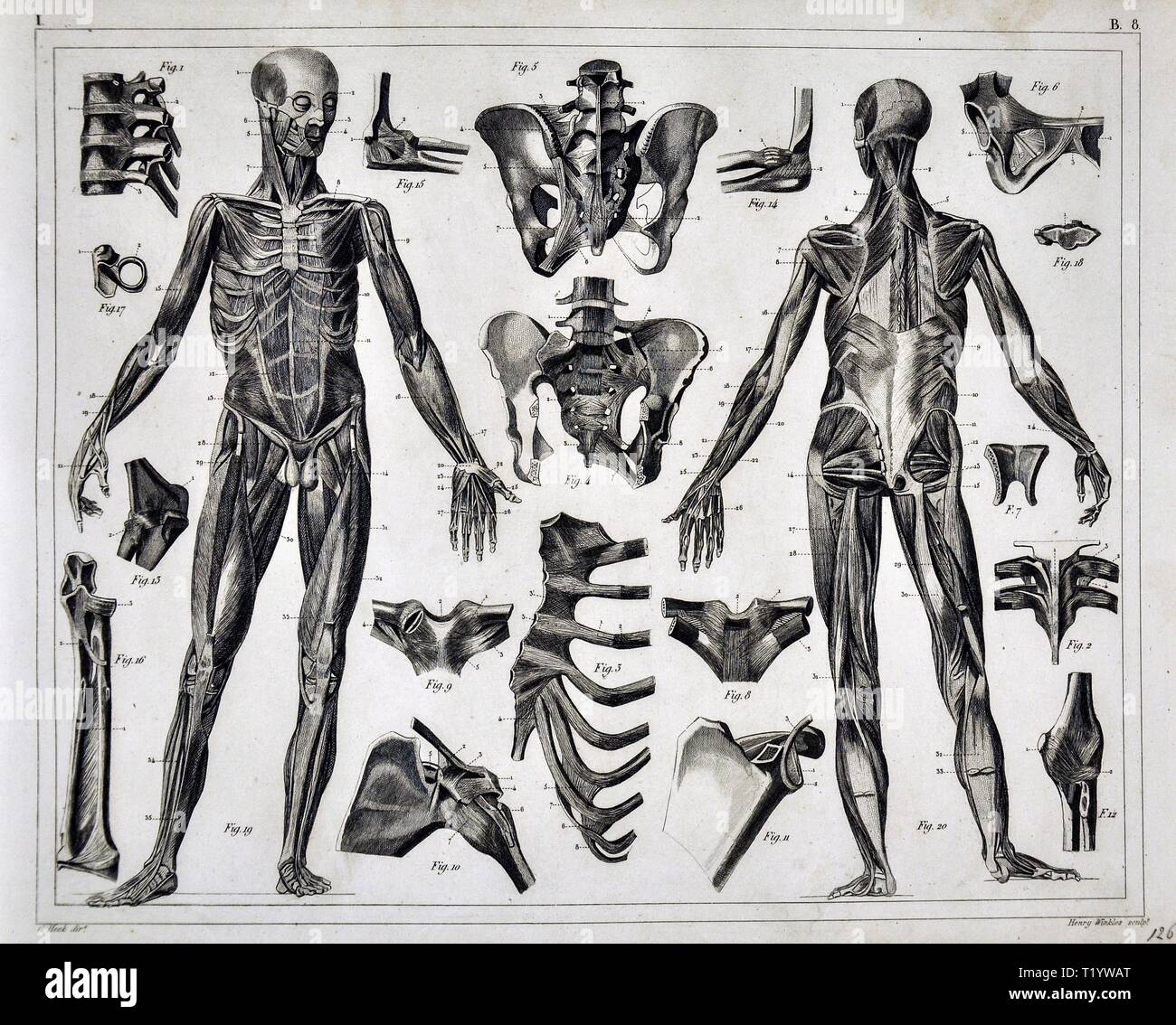 Cadavre humain Banque d'image et photos - Alamy