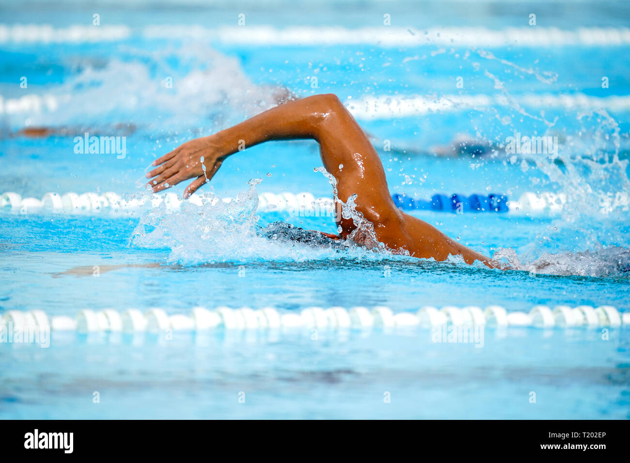 Détails avec un athlète professionnel nager dans une piscine olympique ...