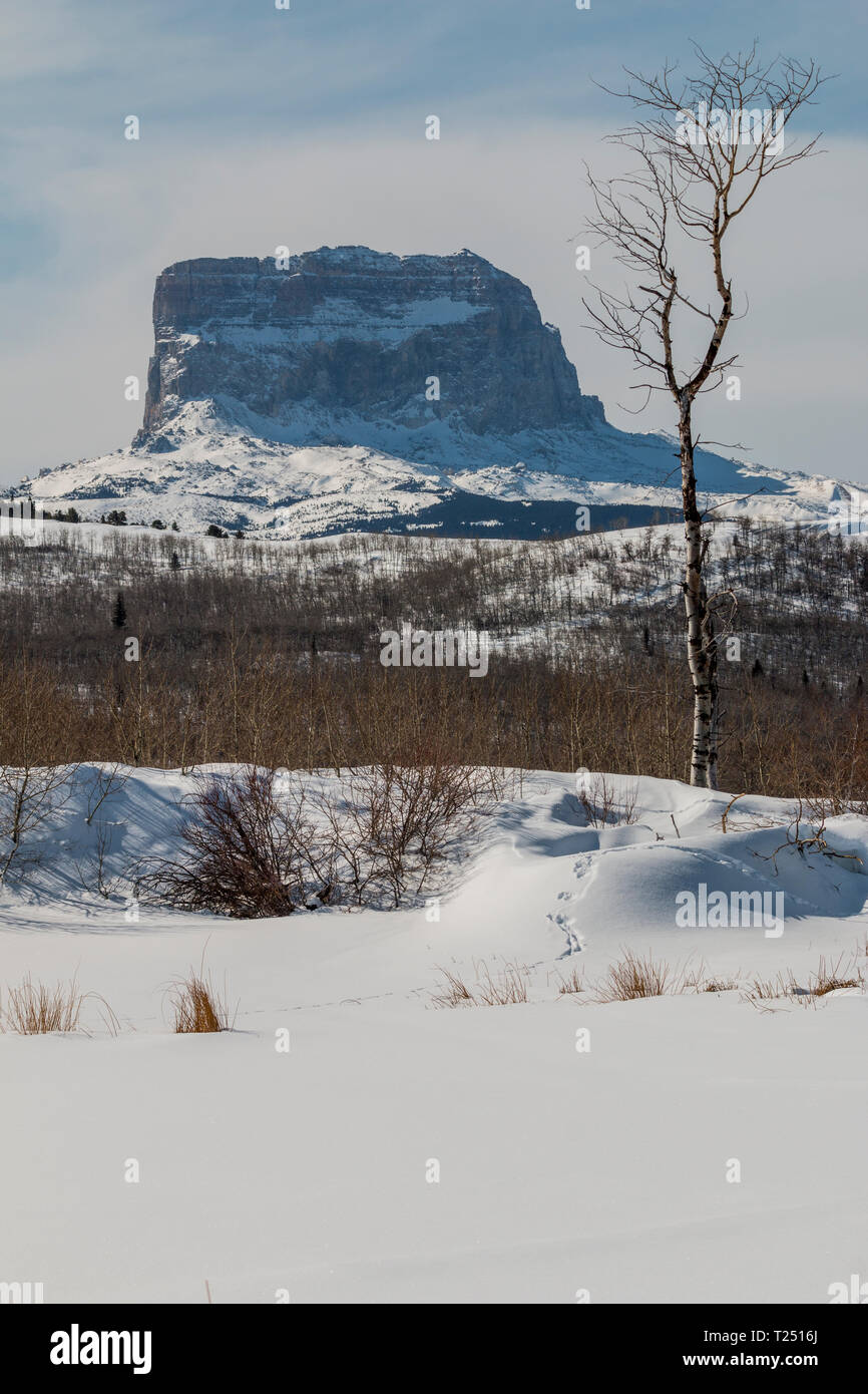 Chief mountain Banque de photographies et d’images à haute résolution ...