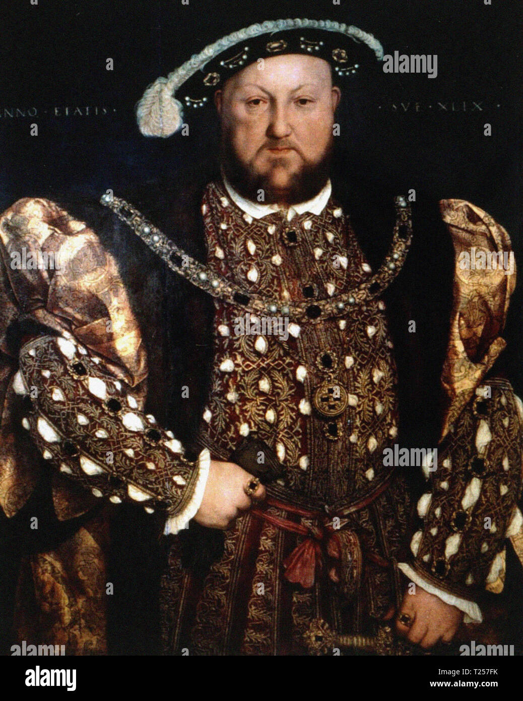 Portrait de Henry VIII Tudor Court Photo Stock - Alamy