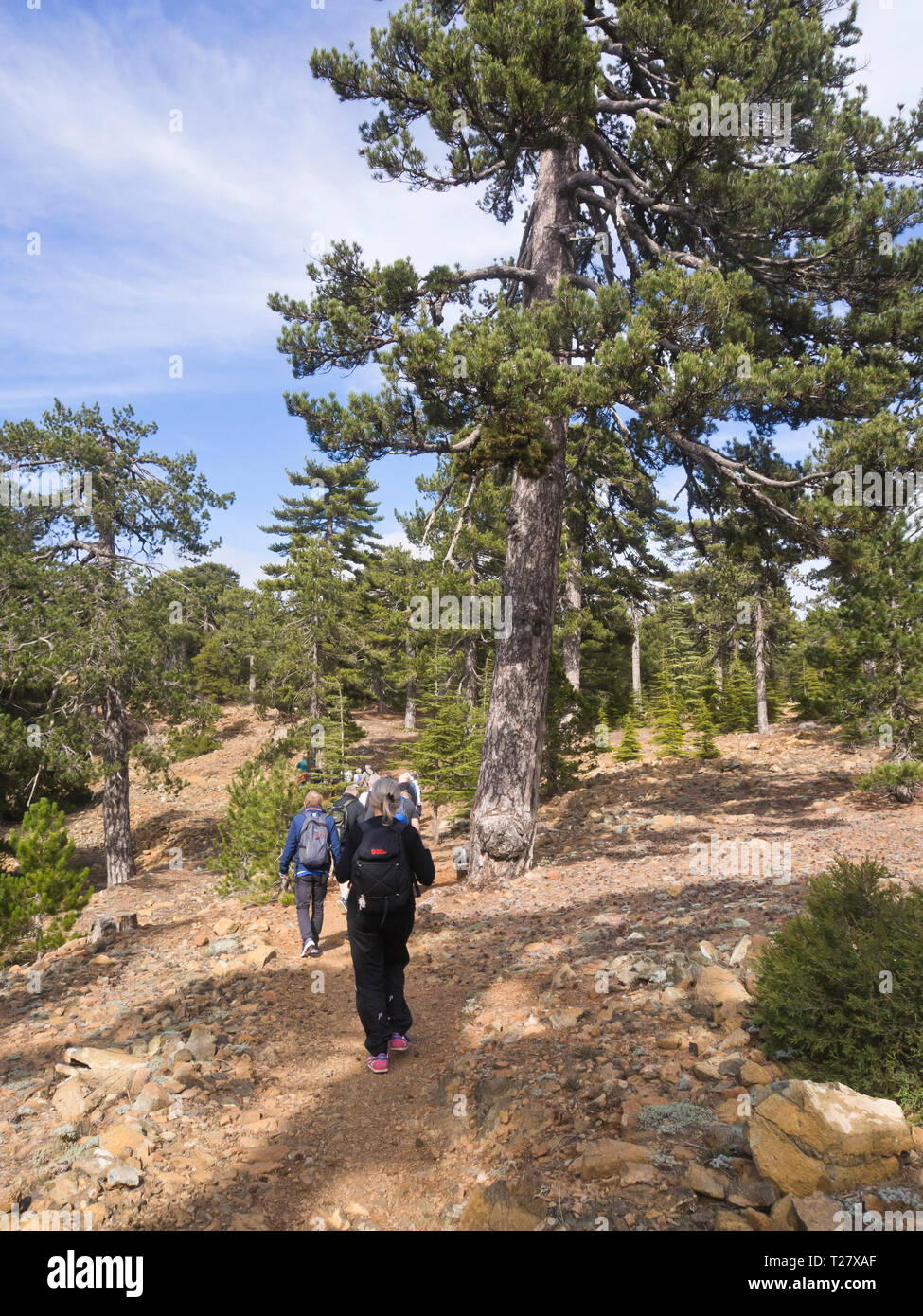 Visiter ou prendre part à une randonnée dans les montagnes Troodos à ...
