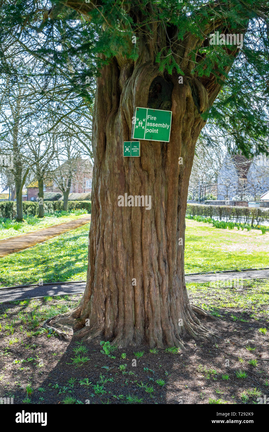 Point de rassemblement incendie les panneaux de sécurité attaché à un ...