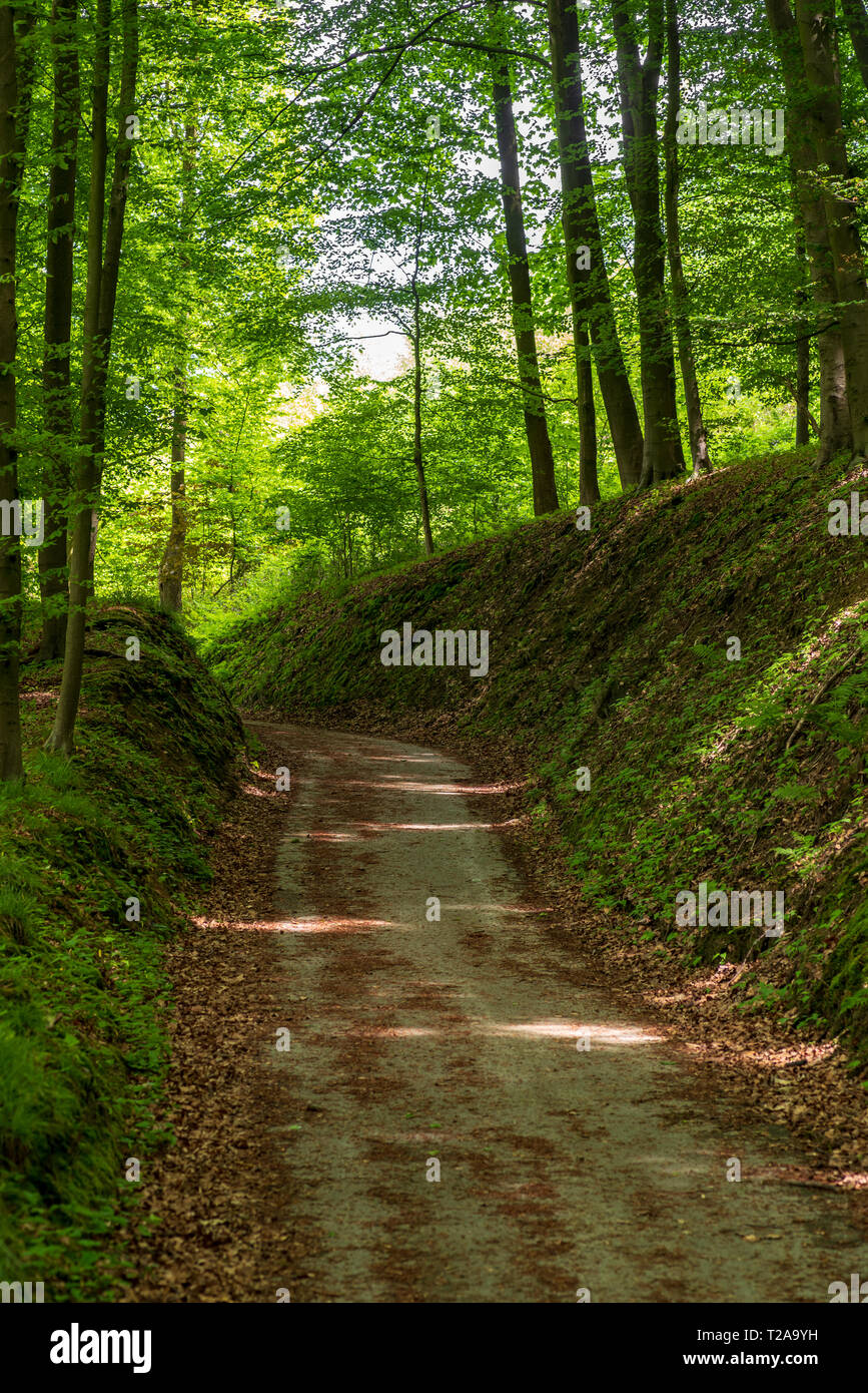 Chemin creux Banque d'image et photos - Alamy