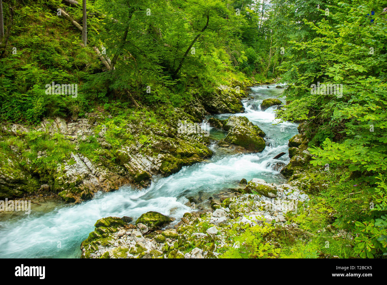Les Gorges de Vintgar Gorge est un bled ou marcher le long de la gorge ...