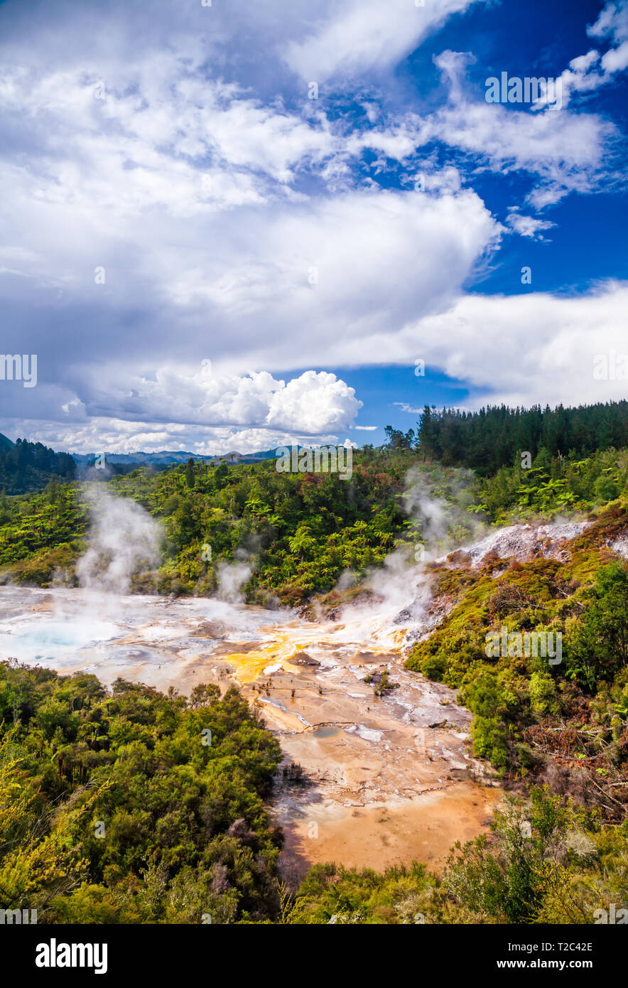 Orakei Korako vapeur zone géothermique au milieu de la forêt tropicale ...