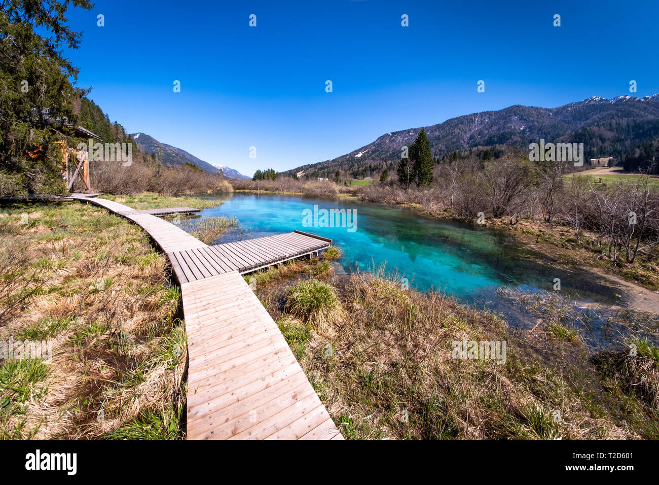 Lac Zelenci, source de la rivière Sava Dolinka, avec le sentier d ...
