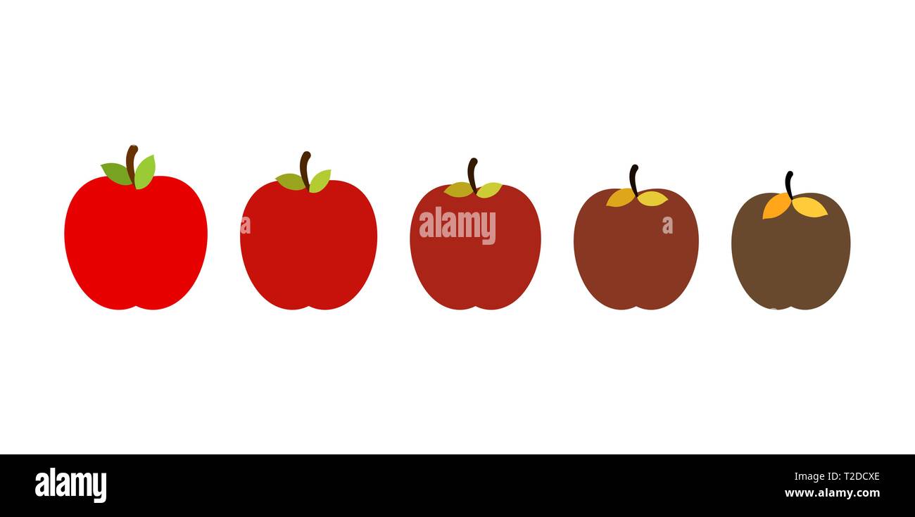 Maladie des fruits Banque d'images vectorielles - Alamy