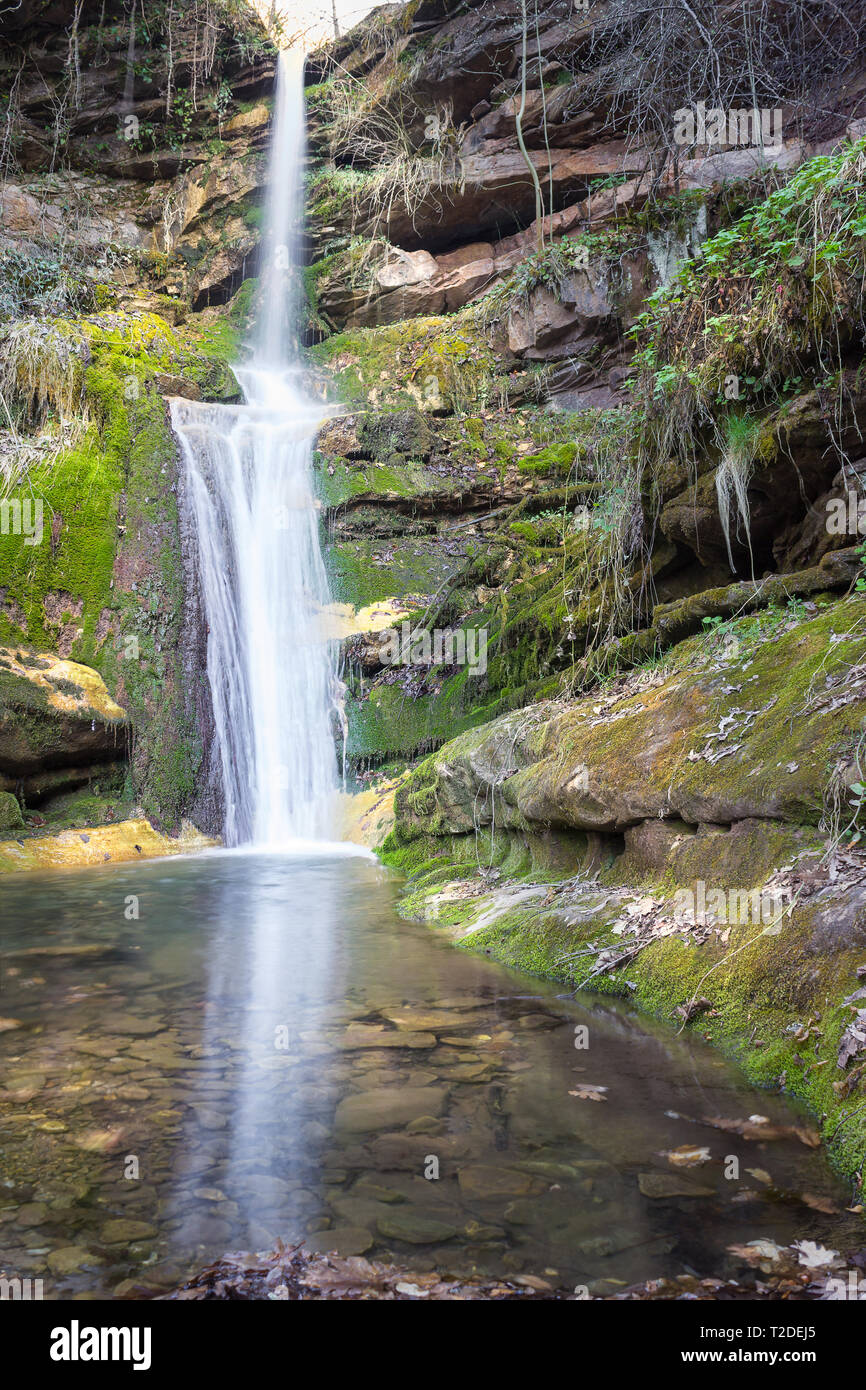Scenic, cascade soleil ruisselait sur la falaise couverte par mousse ...